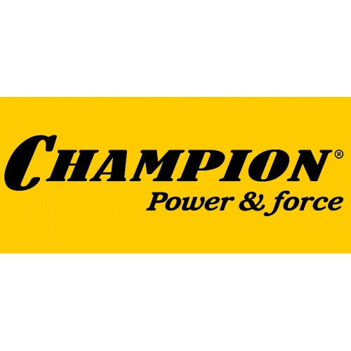 Снегоуборщик Сhampion (Чемпион) STT1170E - обзор модели - читайте на ...